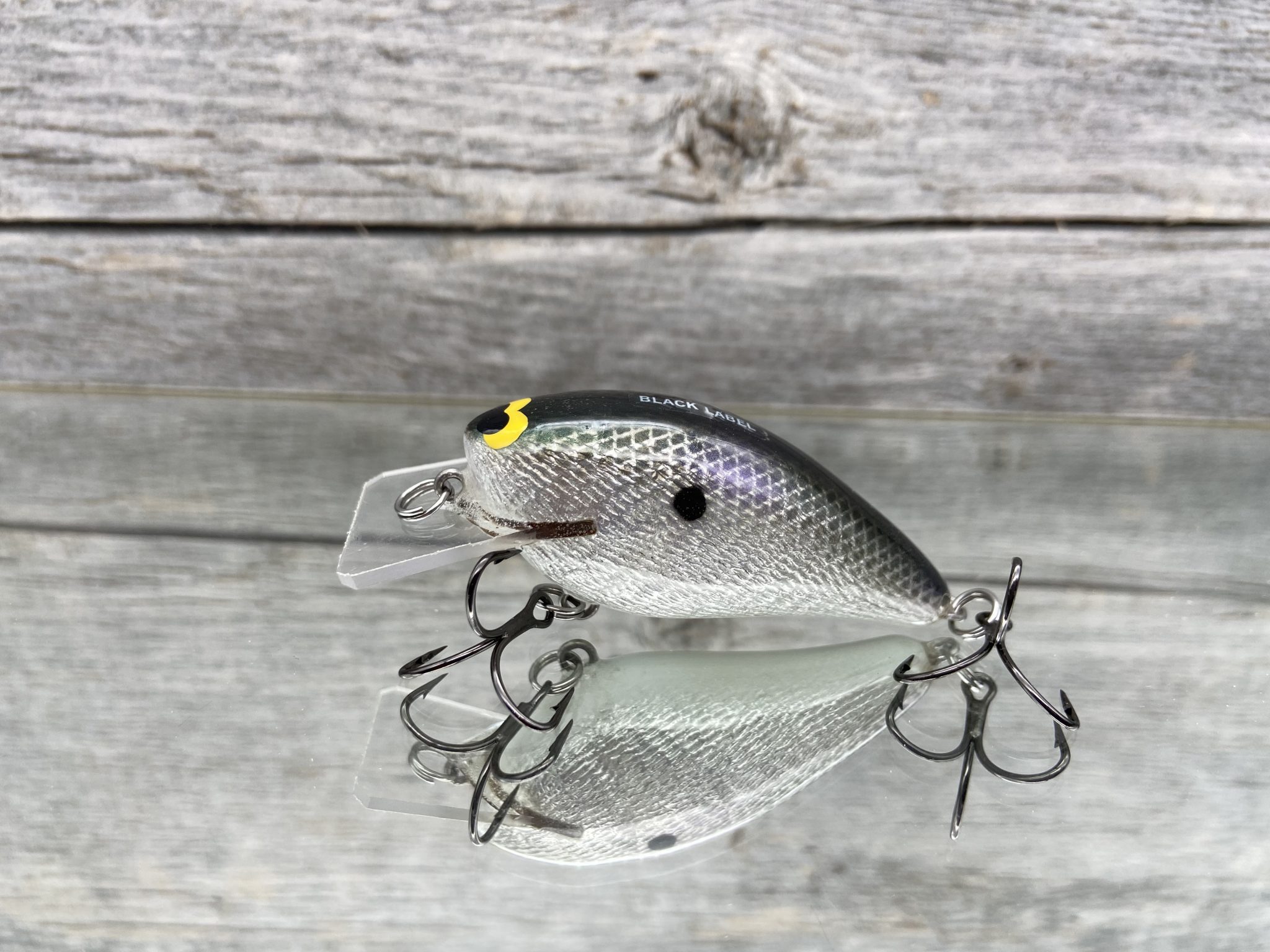 B.L. 1.5 Gizzard Shad Foil - Black Label Tackle
